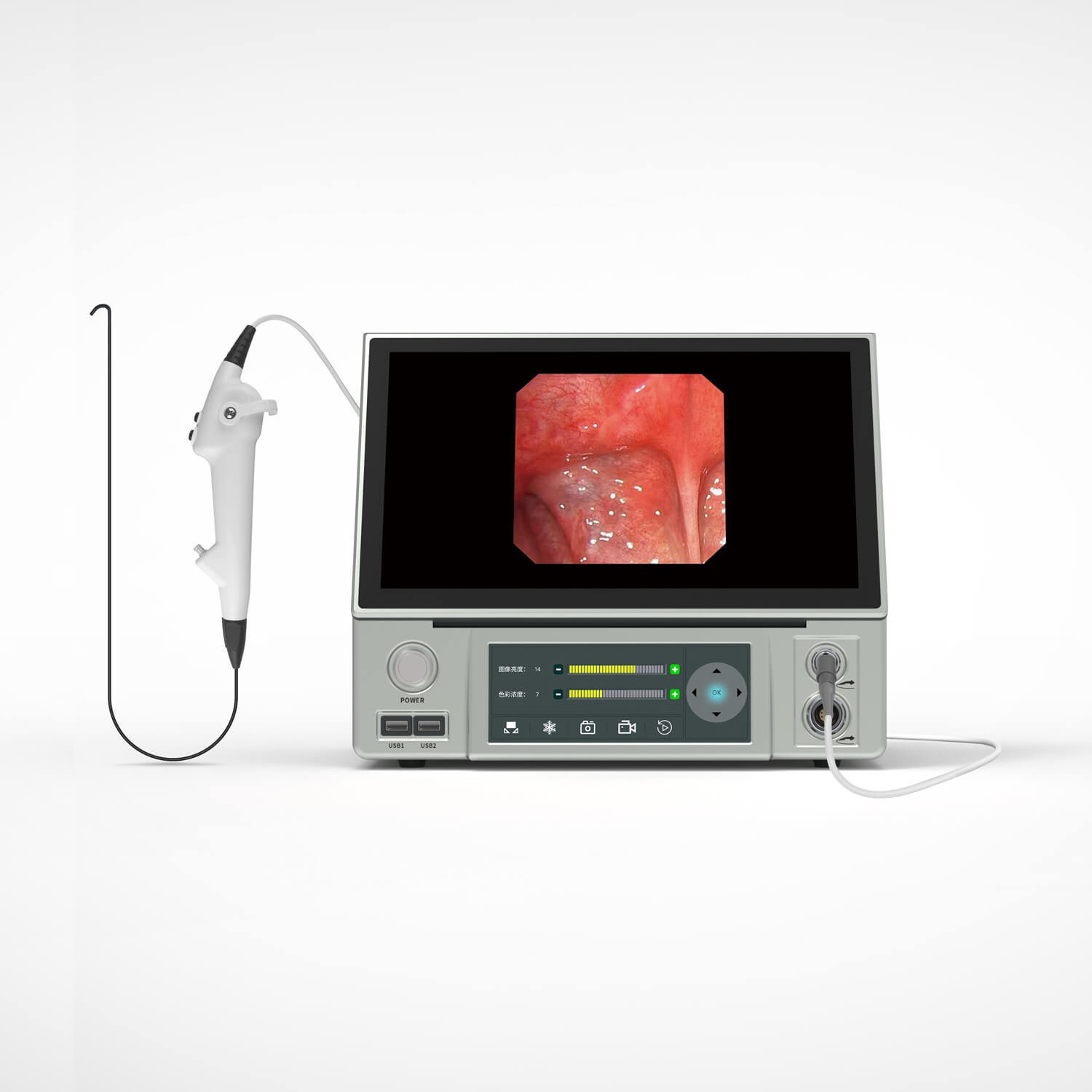 All In One Flexible Endoscope Camera Recording Soft Scope System ...